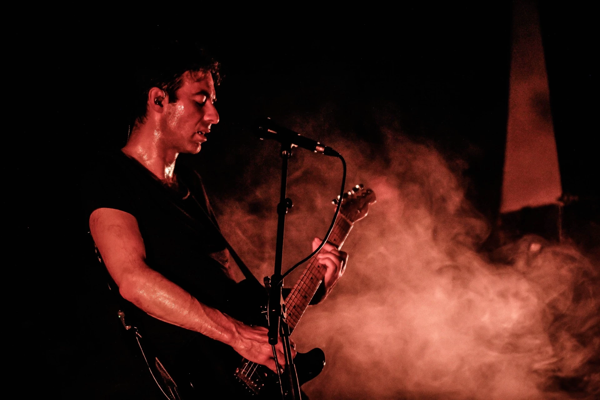 RODRIGUE - Site Officiel